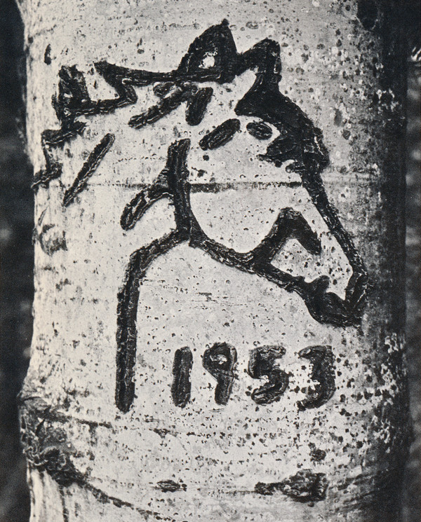 Sea Org Contract | Attention Deficit Disorder Prosthetic Memory Program