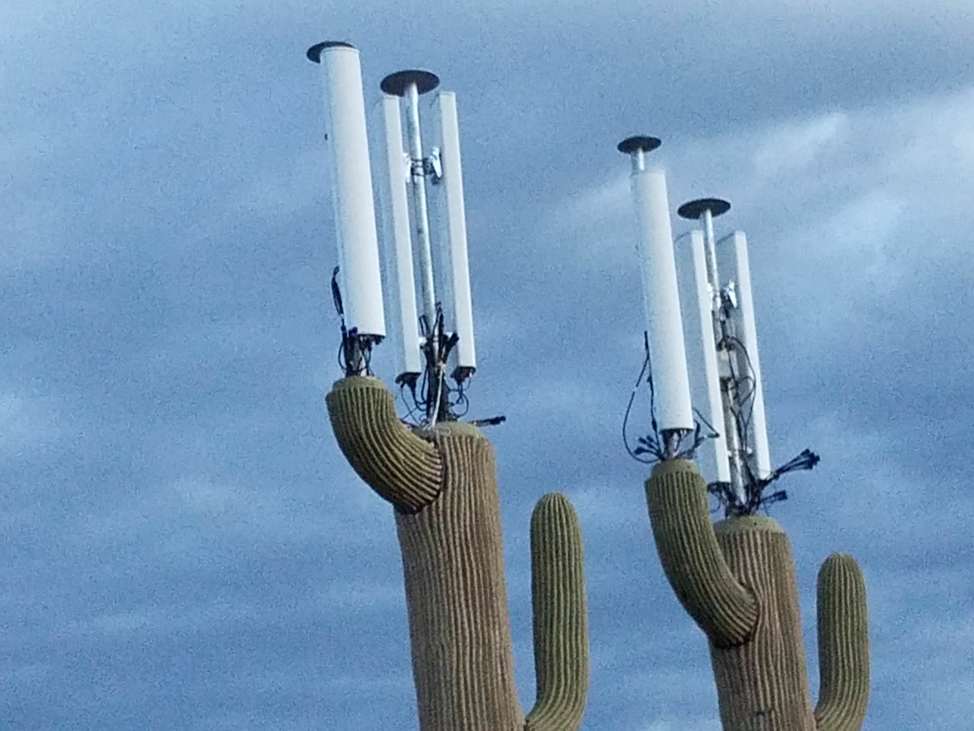 Camouflaged Cell Phone Towers | Attention Deficit Disorder Prosthetic ...