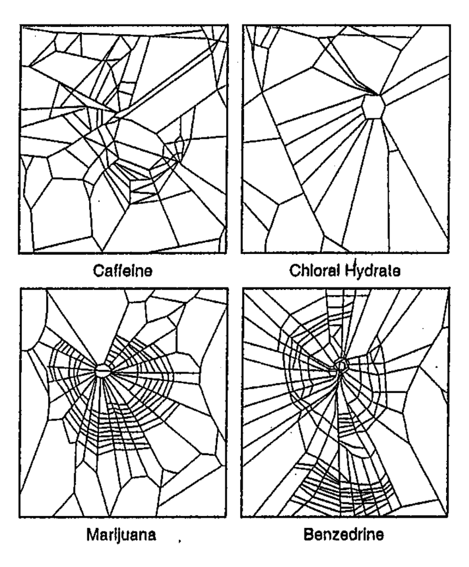 Effects Of Psychoactive Drugs On Spiders | Attention Deficit Disorder ...