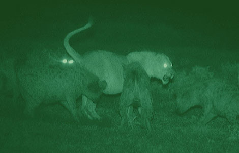 Green Night Vision | Attention Deficit Disorder Prosthetic Memory Program