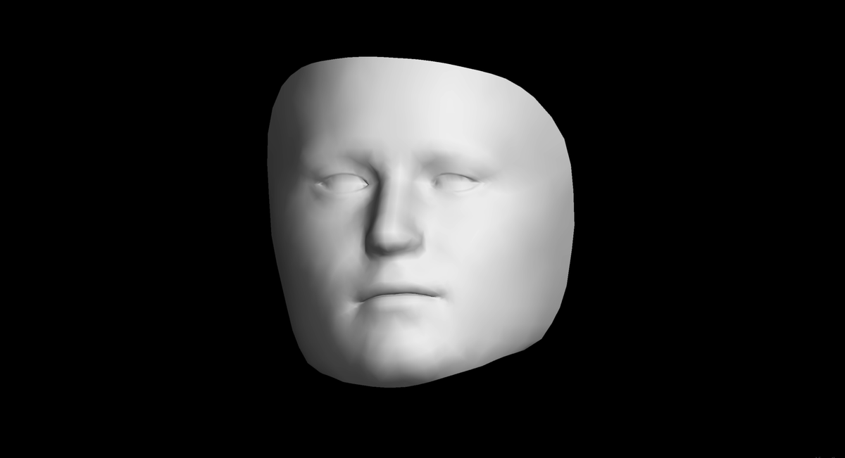 Hollow-Face Illusion | Attention Deficit Disorder Prosthetic Memory Program