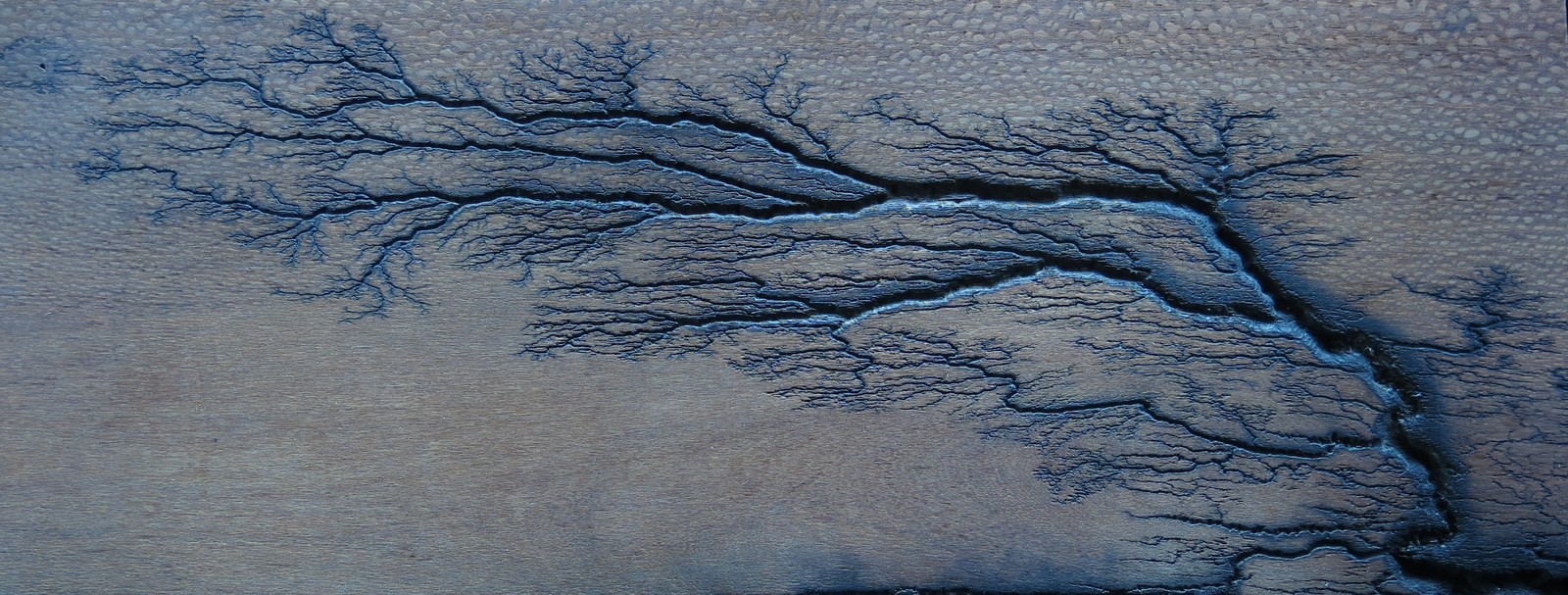 Lichtenberg Figure | Attention Deficit Disorder Prosthetic Memory Program