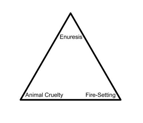 Macdonald Triad | Attention Deficit Disorder Prosthetic Memory Program