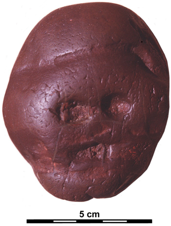 Makapansgat Pebble | Attention Deficit Disorder Prosthetic Memory Program