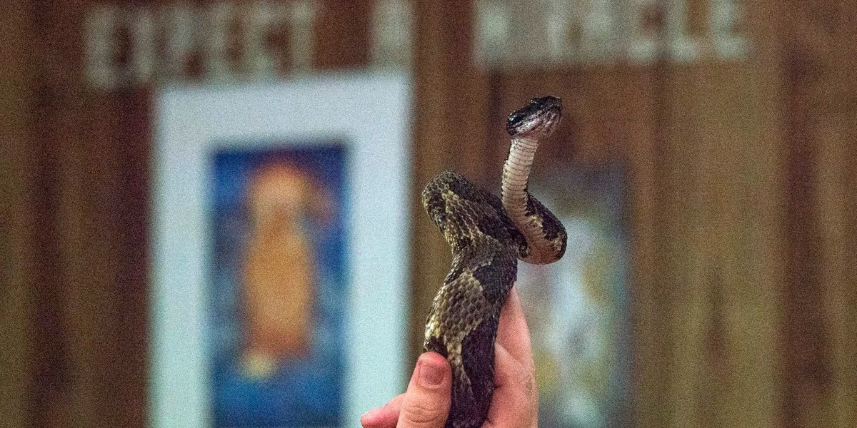 Pentecostal Snake Handlers | Attention Deficit Disorder Prosthetic ...