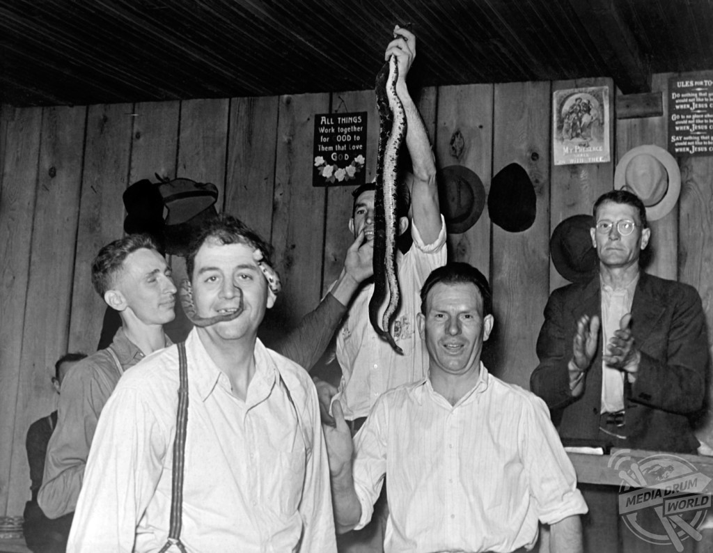 Pentecostal Snake Handlers | Attention Deficit Disorder Prosthetic ...