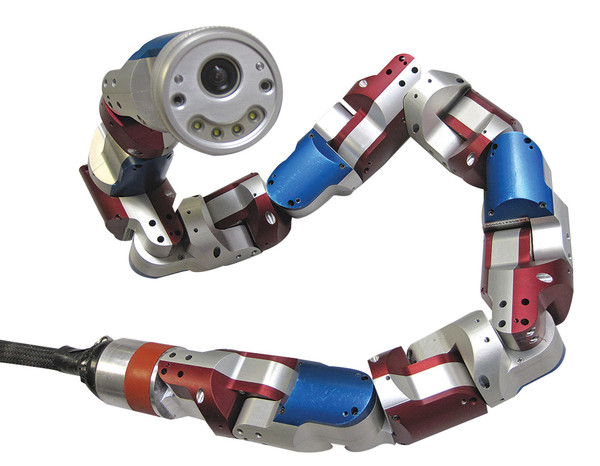 Snakebot | Attention Deficit Disorder Prosthetic Memory Program